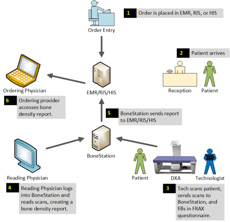 Bone Density Imaging Workflow | Cardea Technology’s Bone Densitometry Blog